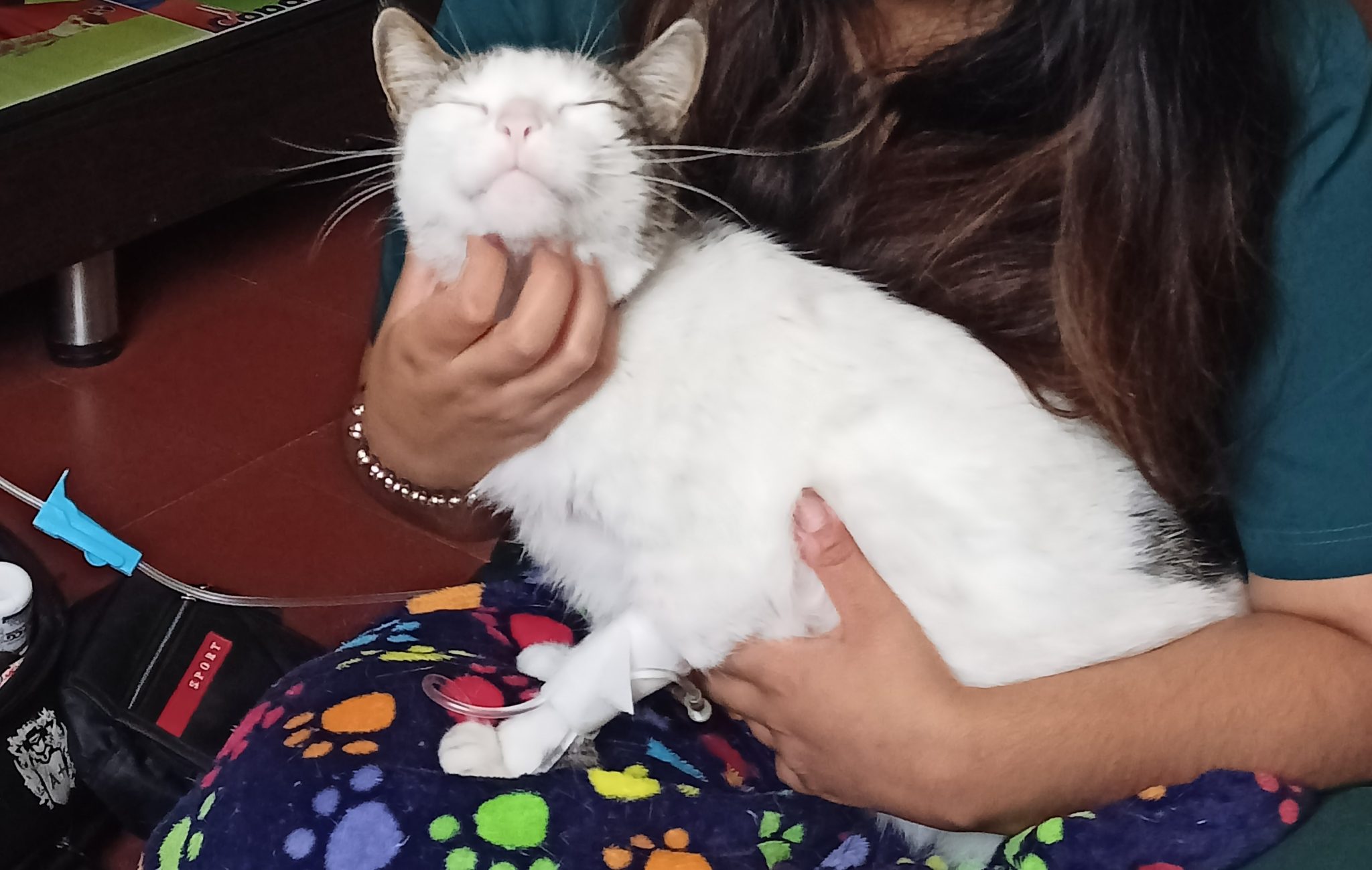 LULO
